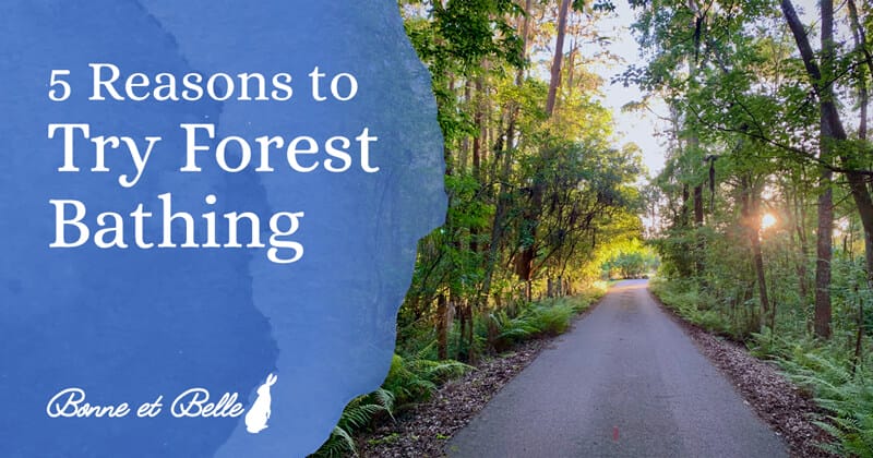 5 Reasons to Try Forest Bathing - Bonne et Belle